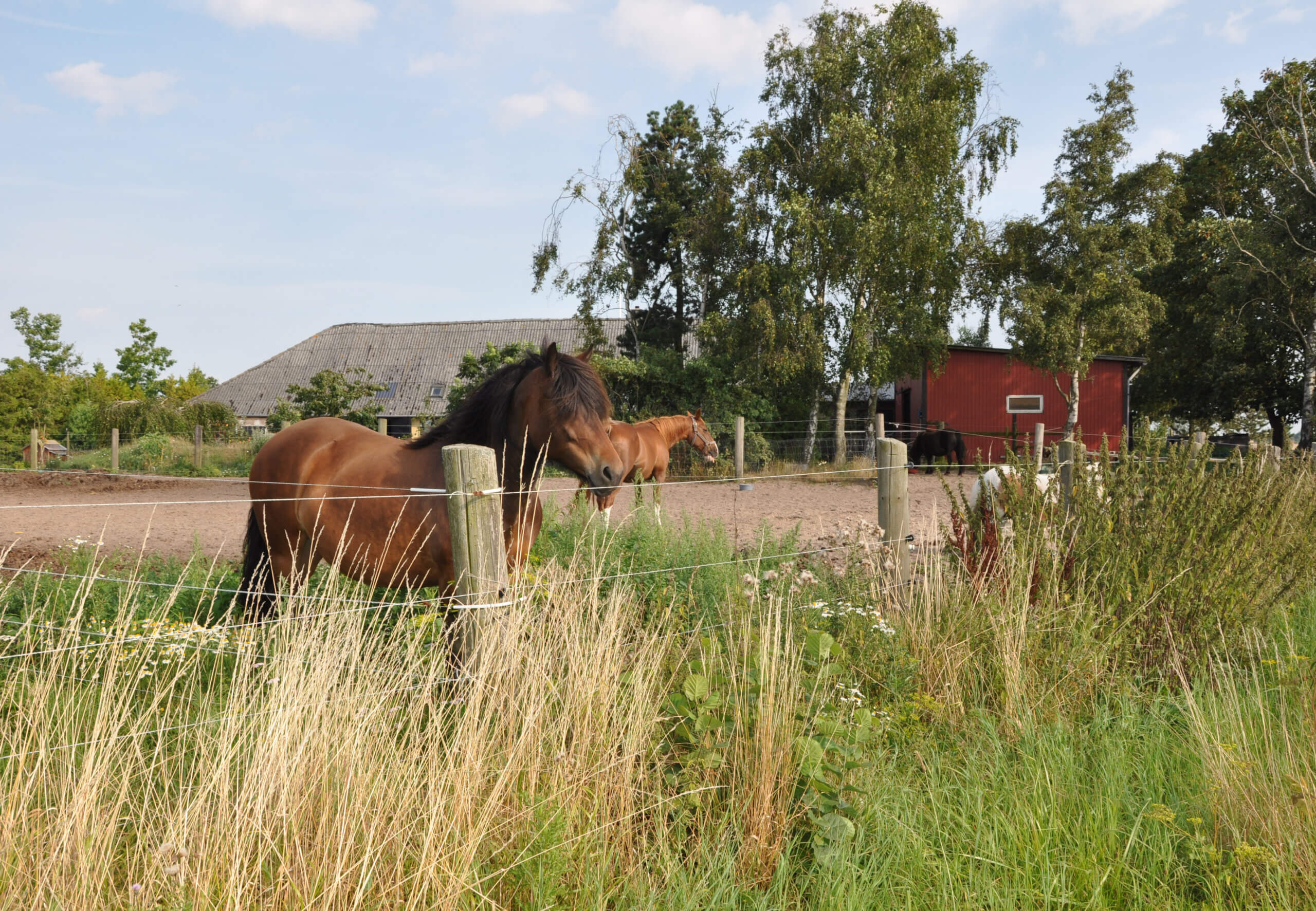Sikkerhed og miljø - Project Ruby